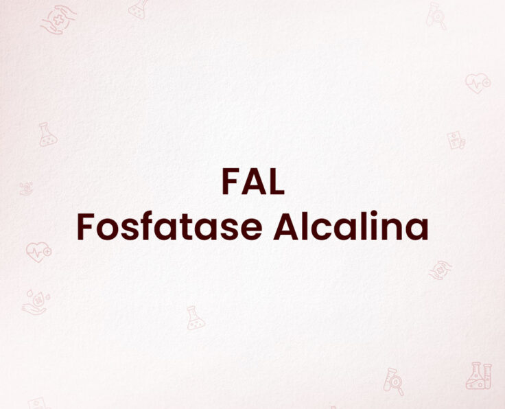 Laboratorio São Rafael