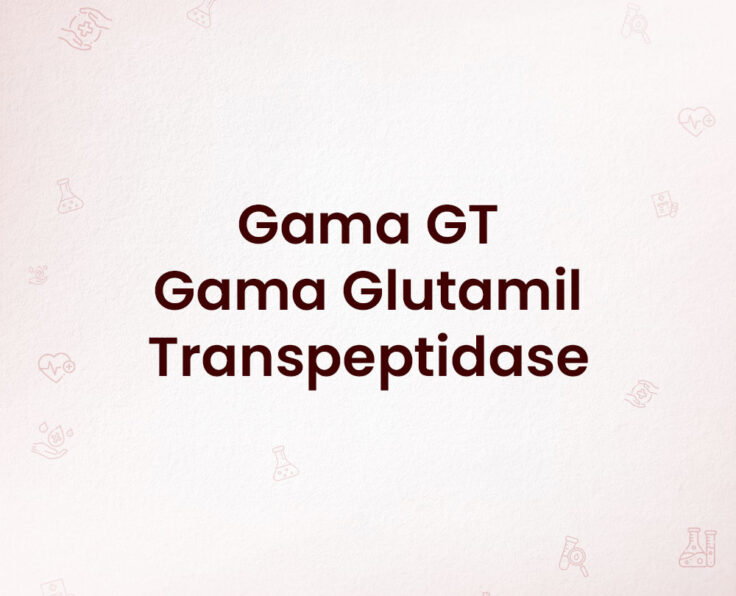 Laboratorio São Rafael